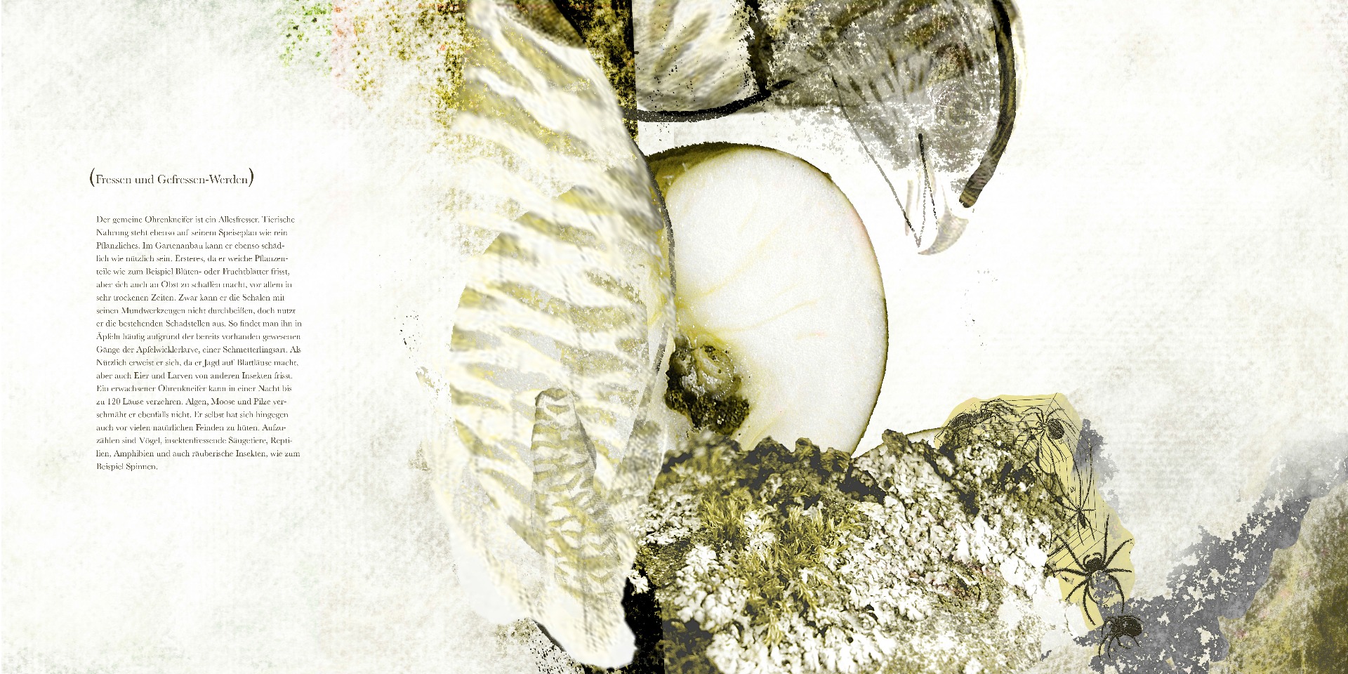 Zwischen Ekel und Ästhetik | ecosign